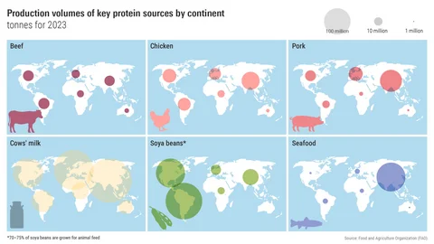 Global Protein Sources Explained