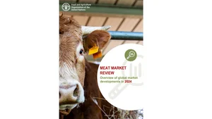 Global Meat Market 2024: Production, Trade & Prices