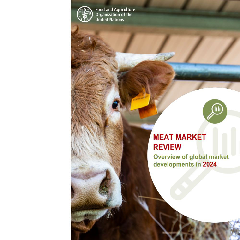 Global Meat Market 2024: Production, Trade & Prices