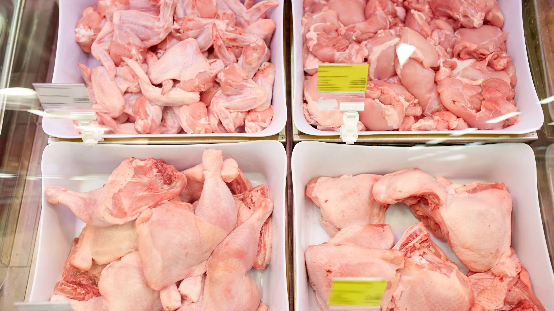 Smart Poultry Processing: Tech, Traceability & Impact