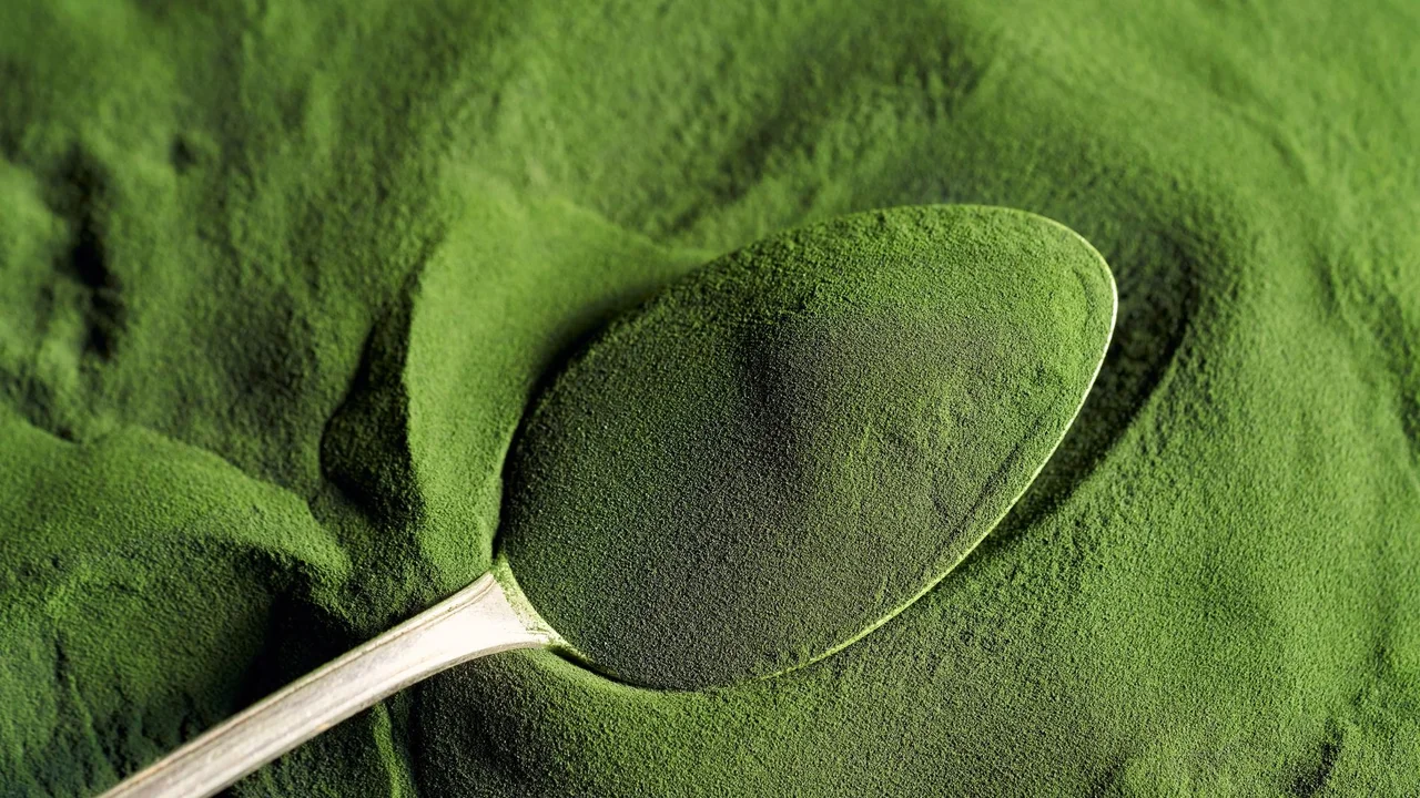 Alternative Proteins: Plant-Based, Insect & Lab-Grown
