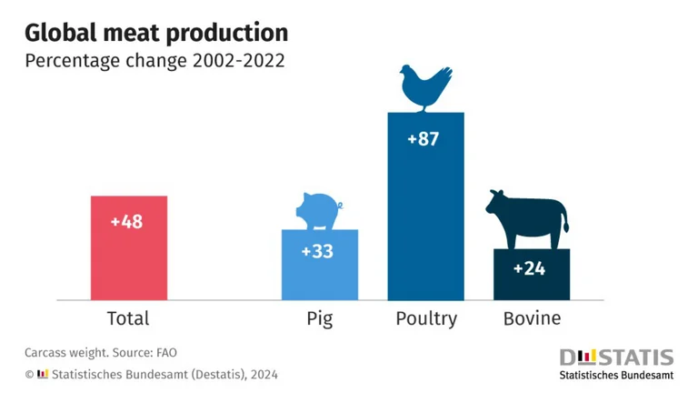 Animal Proteins: Key Sources & Global Supply