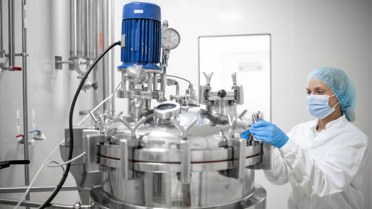 Cell-Cultured Proteins: Sustainable Food Innovation