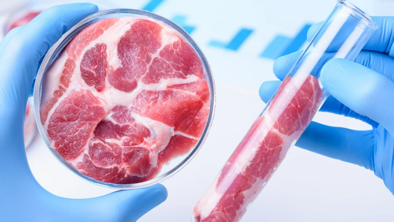 Cell-Cultured Proteins: Sustainable Food Innovation